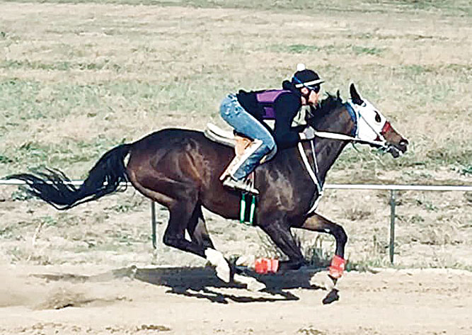 Riders up at Chippewa Downs | News, Sports, Jobs - Minot Daily News